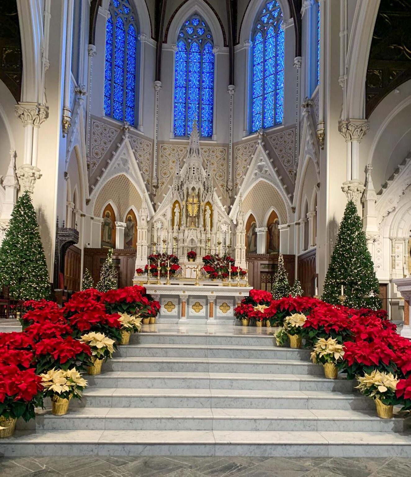 Cardinal Seán's Blog – Page 2 – Cardinal Seán O'Malley shares his ...